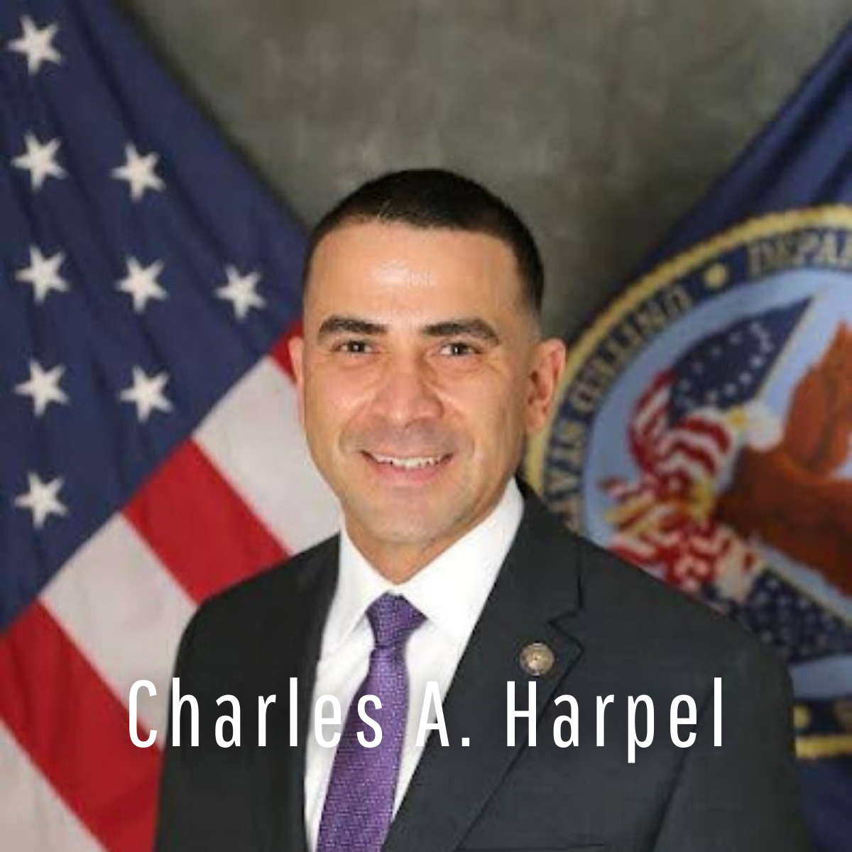 Charles A. Harpel - Healthcare Landscape Conference 2024